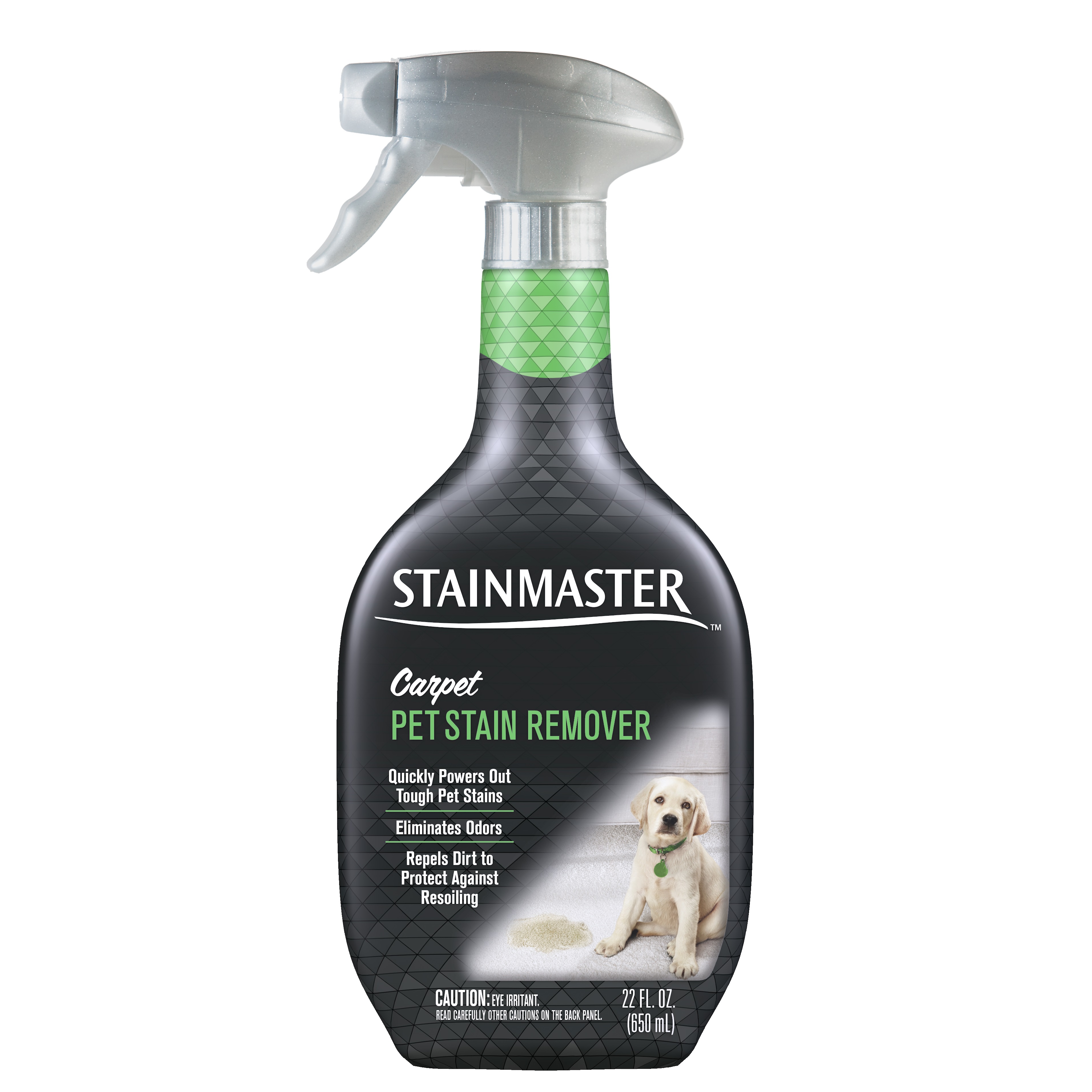 UPC 042000225786 Carpet Pet Stain Remover 22 OZ Upcitemdb