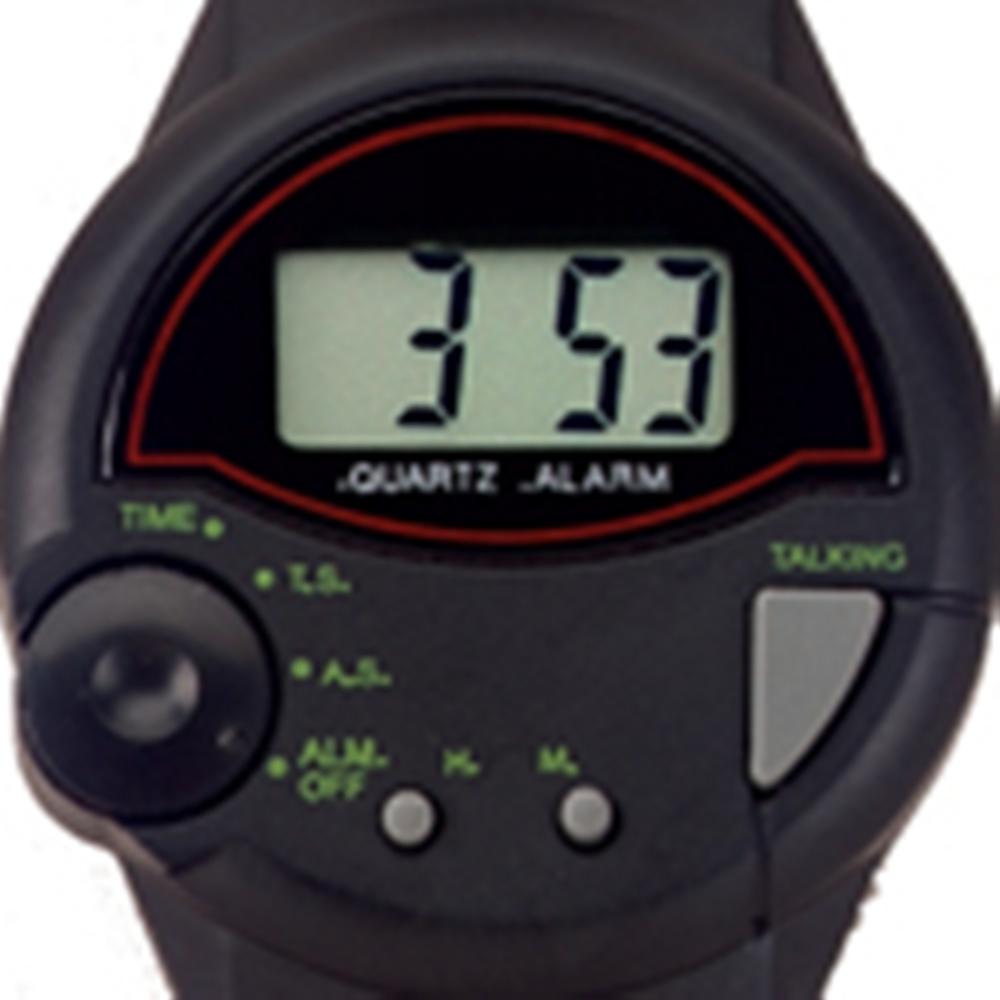 Active Products Plus-EZ to Set Talking Wrist Watch w/Alarm & EZ to Hear ...