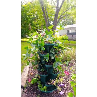 Mr. Stacky AZDSZB2238 5-Tier Stackable Strawberry, Herb, Flower ...