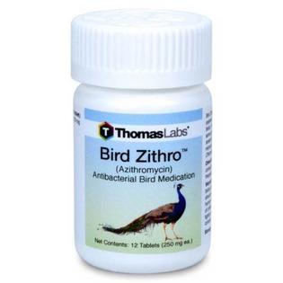 THOMAS LAB Thomas Labs Bird Zithro Antibacterial Avian Medication 250mg ...