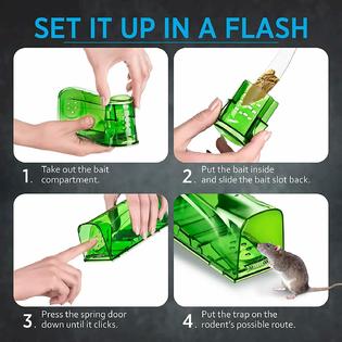 Trap2 Trazon Humane Mouse Traps Catch and Release - Easy Setup ...