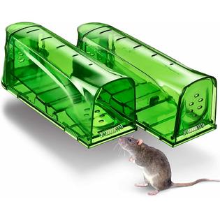 Trap2 Trazon Humane Mouse Traps Catch and Release - Easy Setup ...