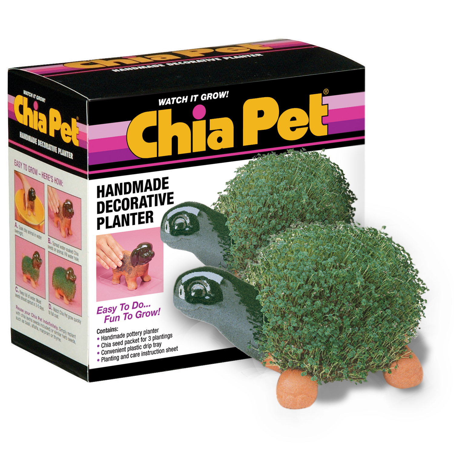 chia pet