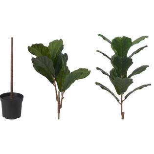 fiddle leaf fig tree ikea