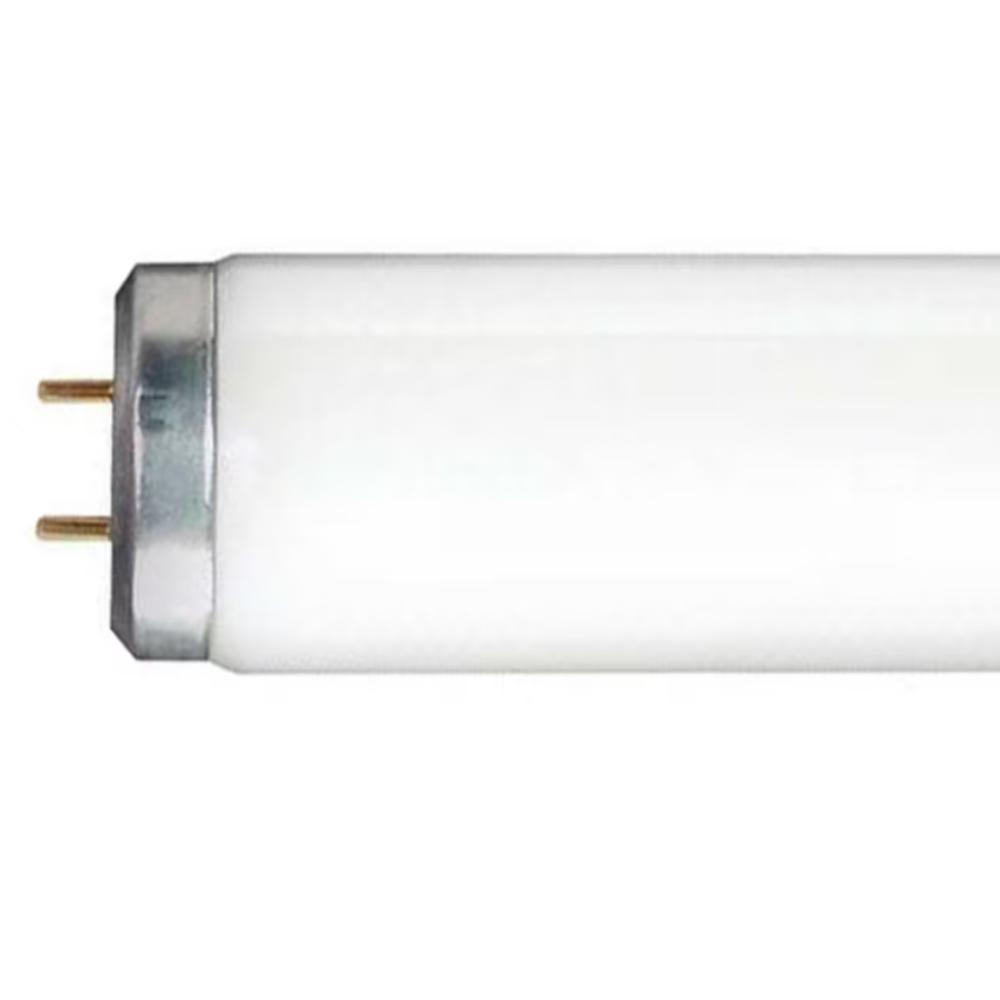 GE Active Spaces 32-Watt EQ T8 Daylight Medium Bi-pin (t8) Fluorescent ...