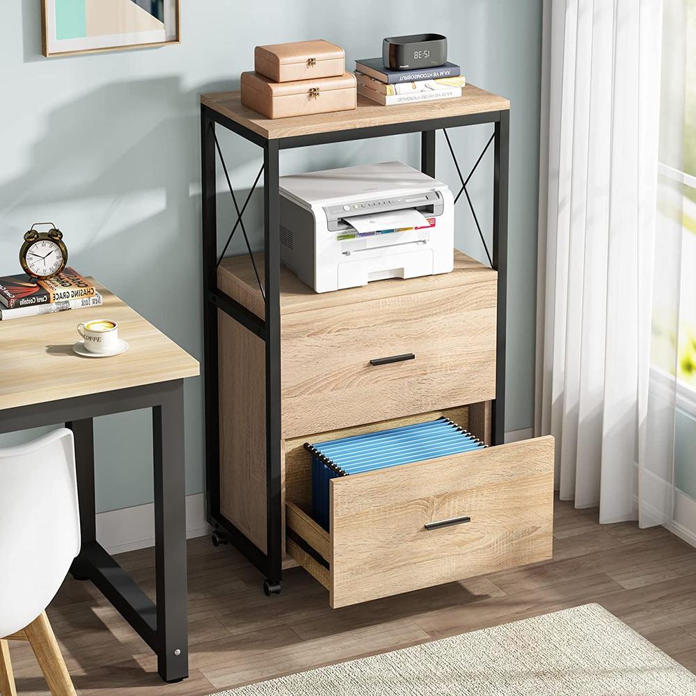 Tribesigns File Cabinet, 2 Drawer Rolling Vertical Filing Cabinet for ...