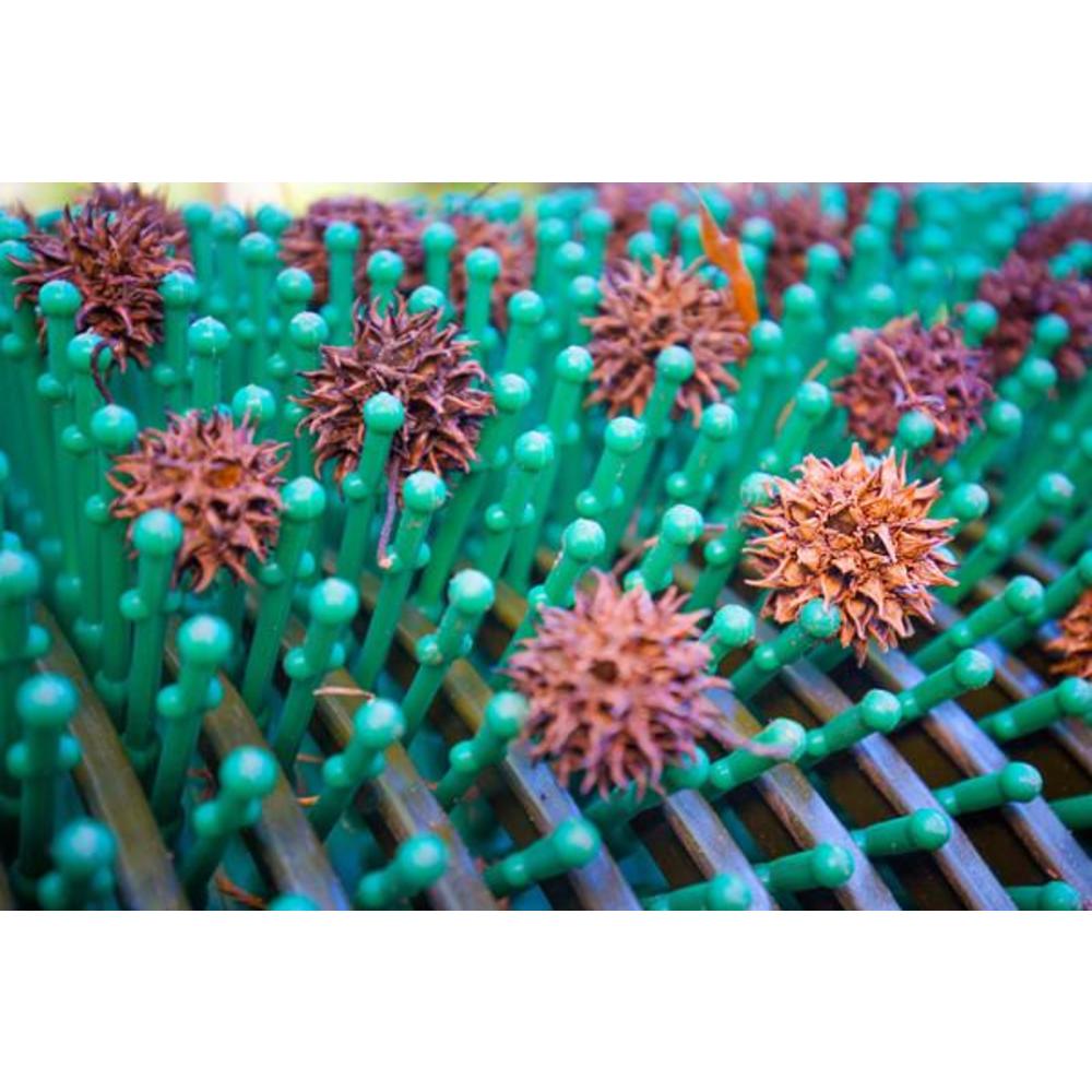 Bag-A-Nut 18” Push Sweet Gum Ball Harvester – Also Picks up English ...