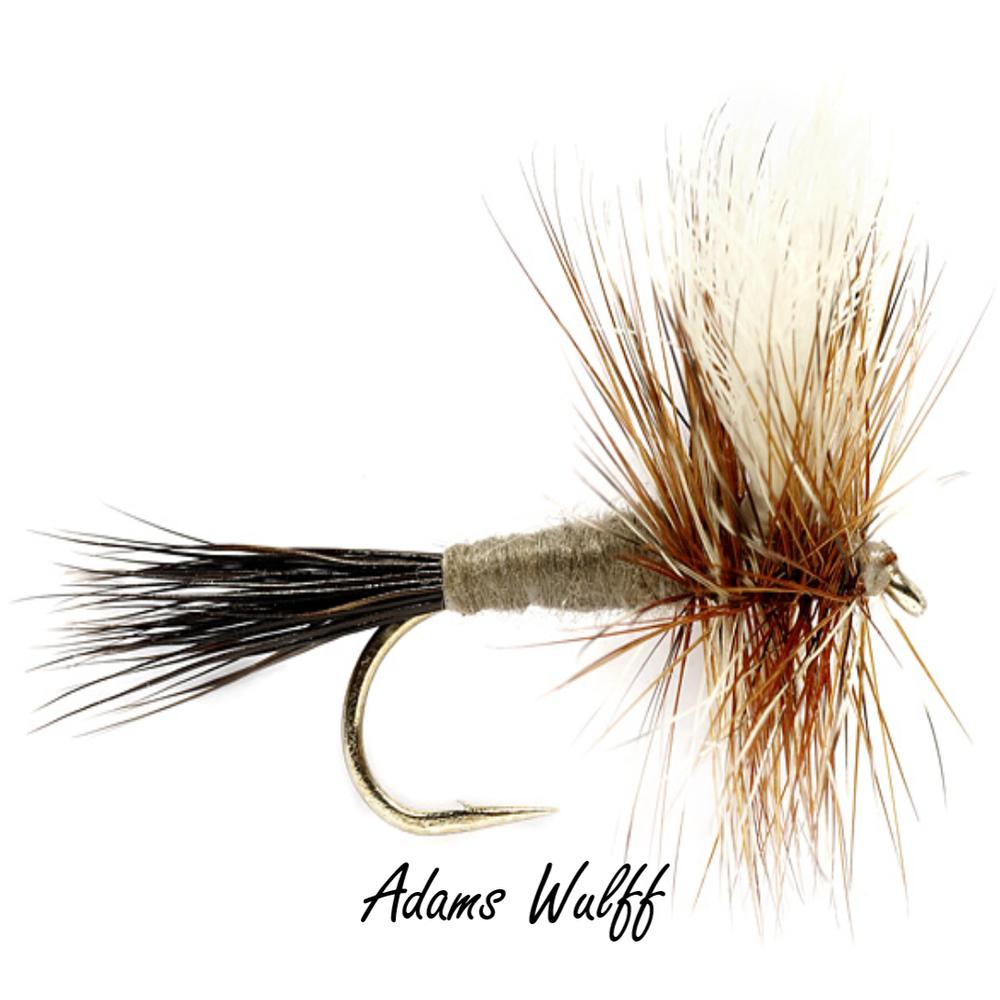 Evening Hatch 24 Dry Fly Trout Assortment, Adams Wulff, Royal Wulff ...
