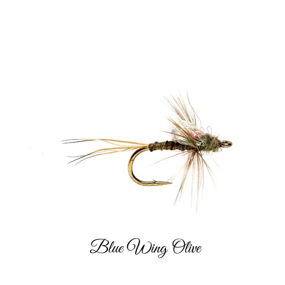 Evening Hatch 24 Dry Fly Trout Assortment, Adams Wulff, Royal Wulff ...
