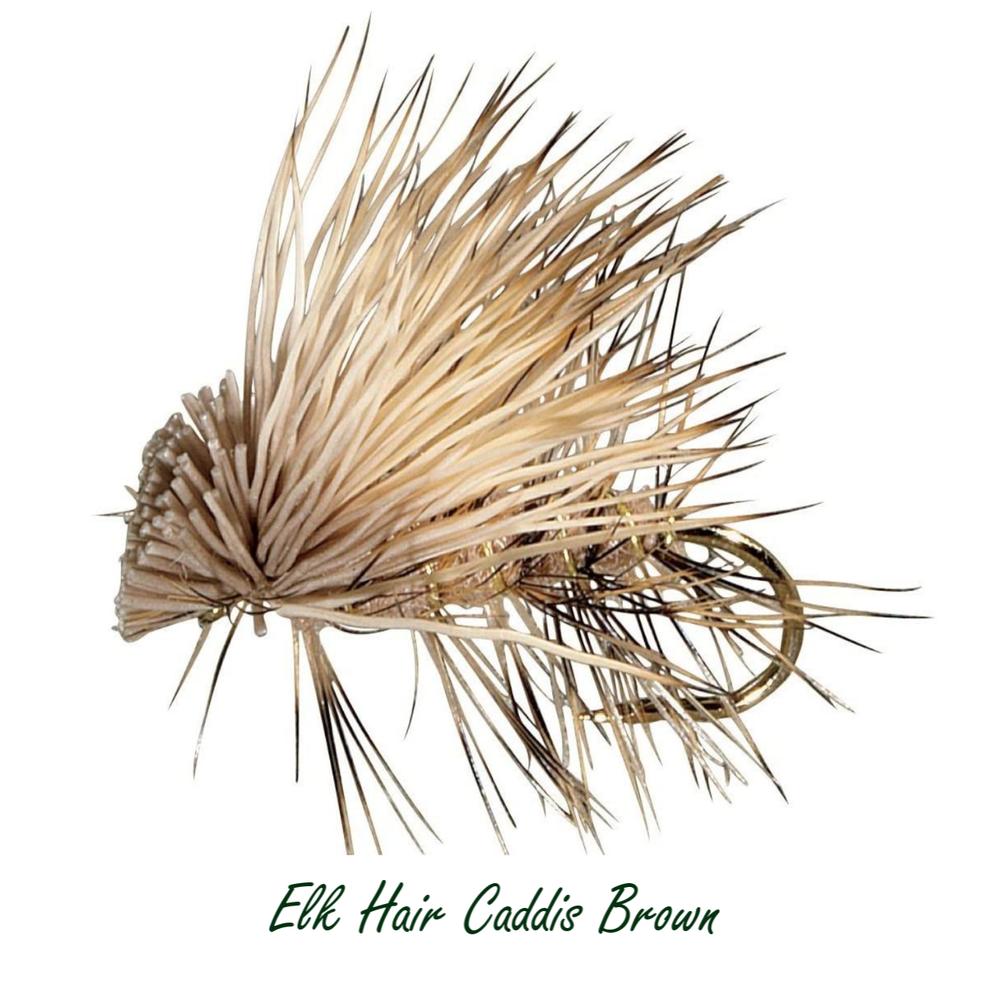 Evening Hatch 24 Dry Fly Trout Assortment, Adams Wulff, Royal Wulff ...