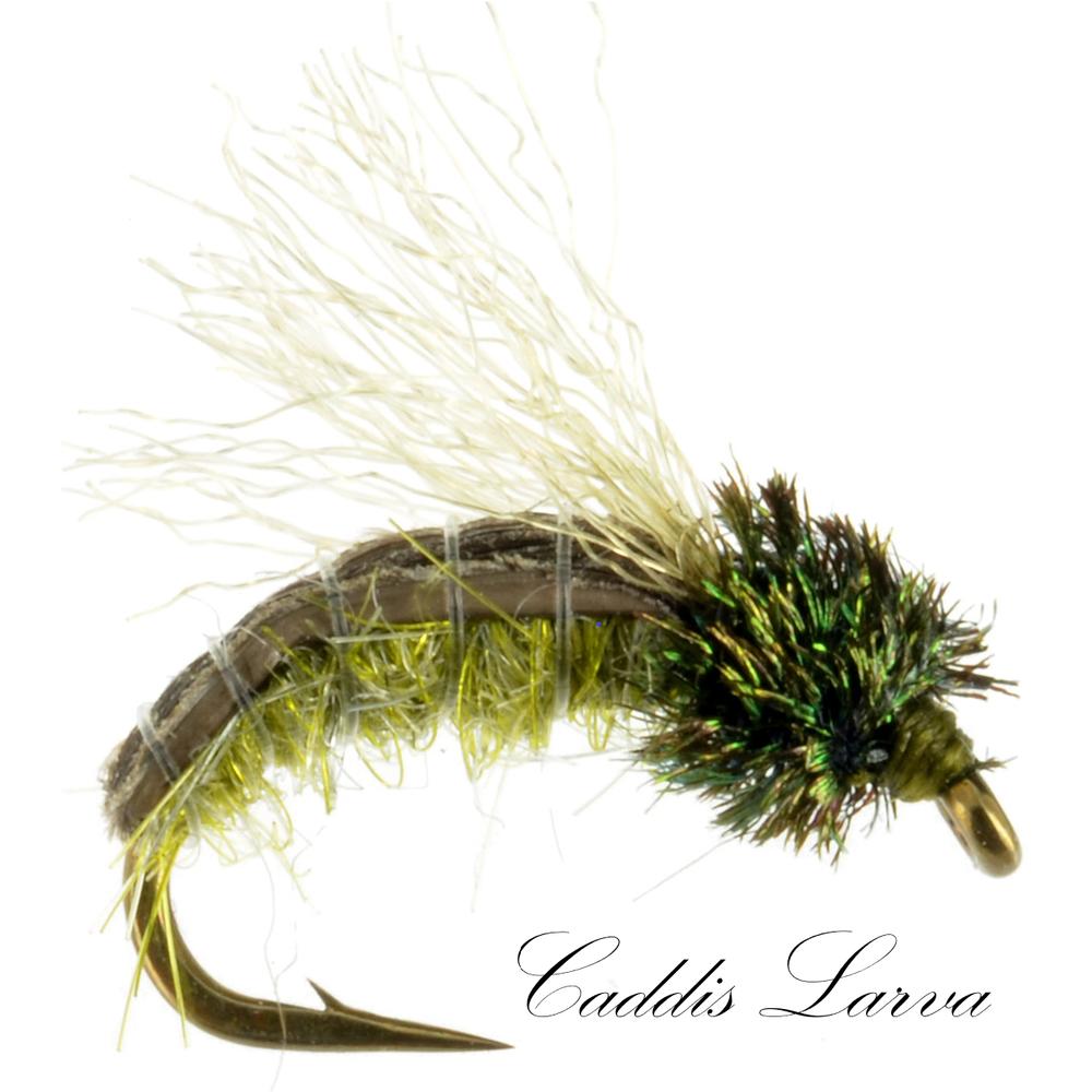 Evening Hatch 24 Dry Fly Trout Assortment, Adams Wulff, Royal Wulff ...