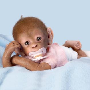 newborn monkey doll