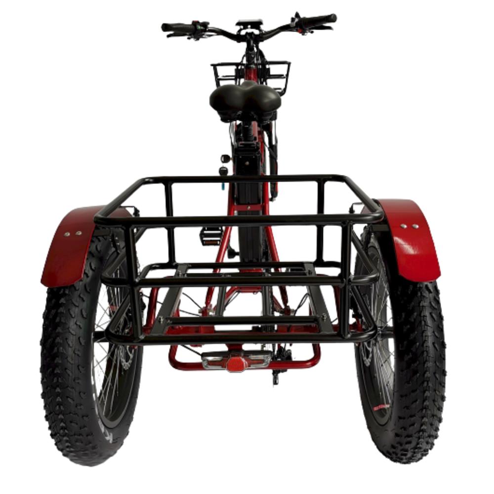 Mobilityscootrike Fat Tire Electric Tricycle Off Road Adventure Experience