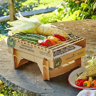 CasusGrill Casus Grill: Eco-Friendly, Biodegradable, One-Time-Use ...
