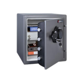 SEN-SFW123GDC Sentry Safe Electronic Fire-Safe, 1.23 ft, Gray ...