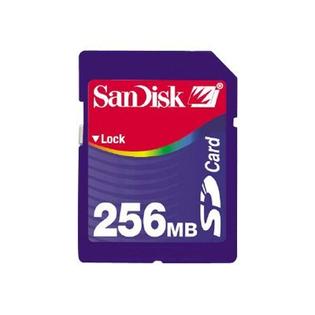 SanDisk Secure Digital (SD) Card, 256MB - TVs & Electronics - Computers ...
