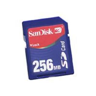 SanDisk Secure Digital (SD) Card, 256MB - TVs & Electronics - Computers ...