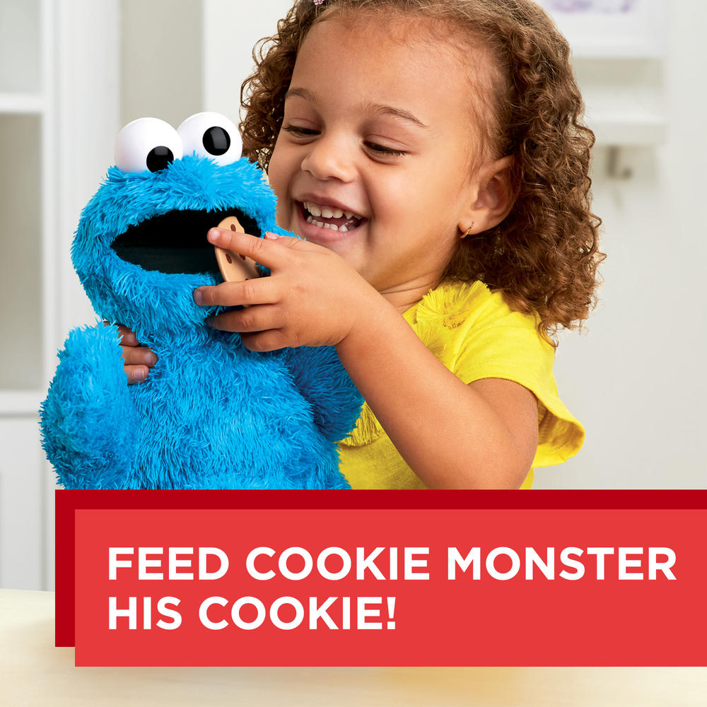 Playskool Friends Sesame Street Feed Me Cookie Monster
