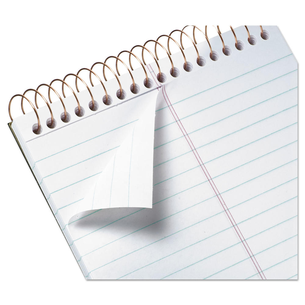 Ampad TOP20806 Gold Fibre Spiral Steno Book, Gregg, 6 x 9, White/Green ...