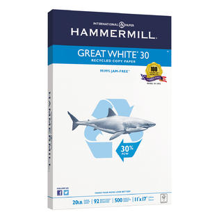 Hammermill HAM86750 Great White Recycled Copy Paper, 92 Brightness ...