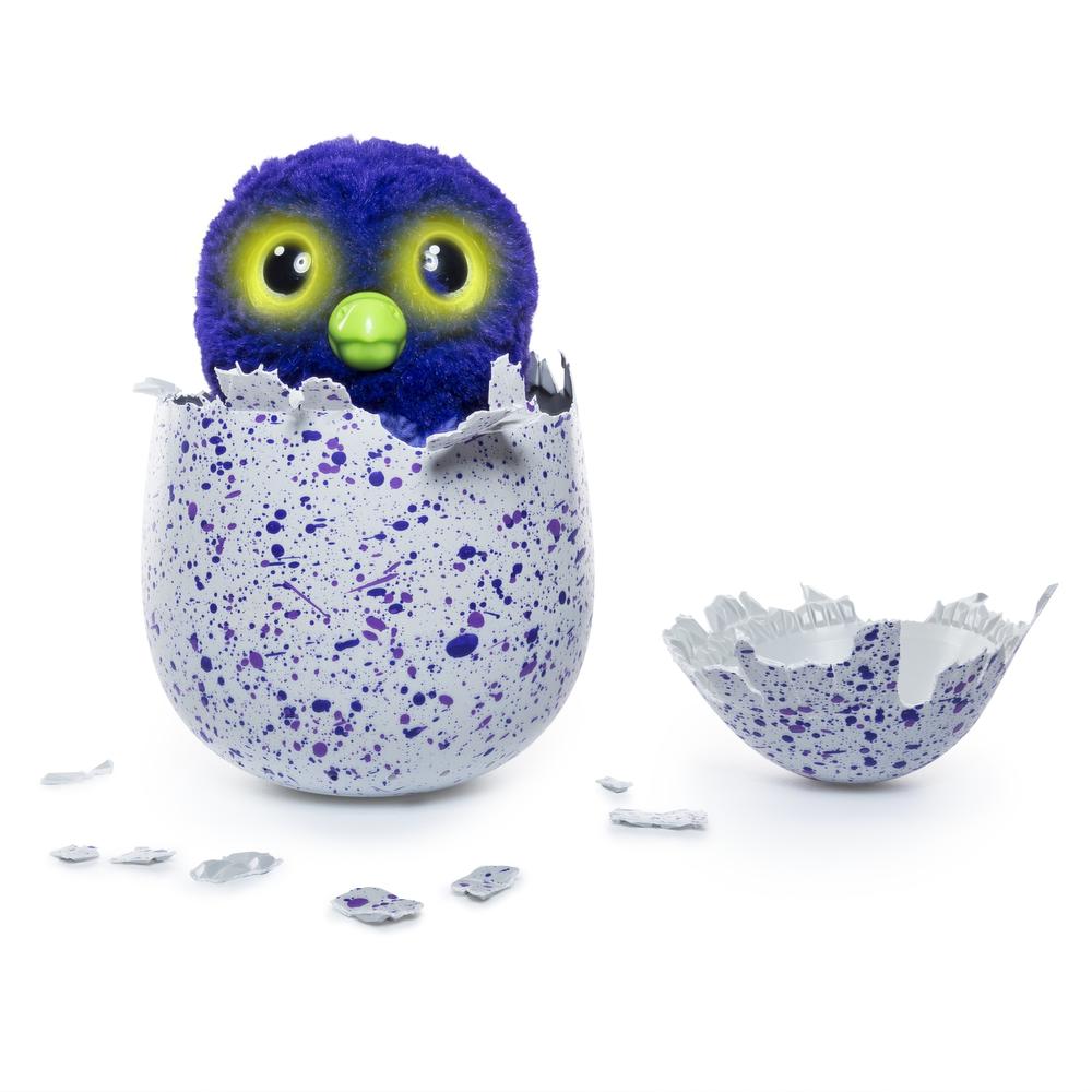 Hatchimals Hatching Egg - Draggle - Blue/Purple Egg