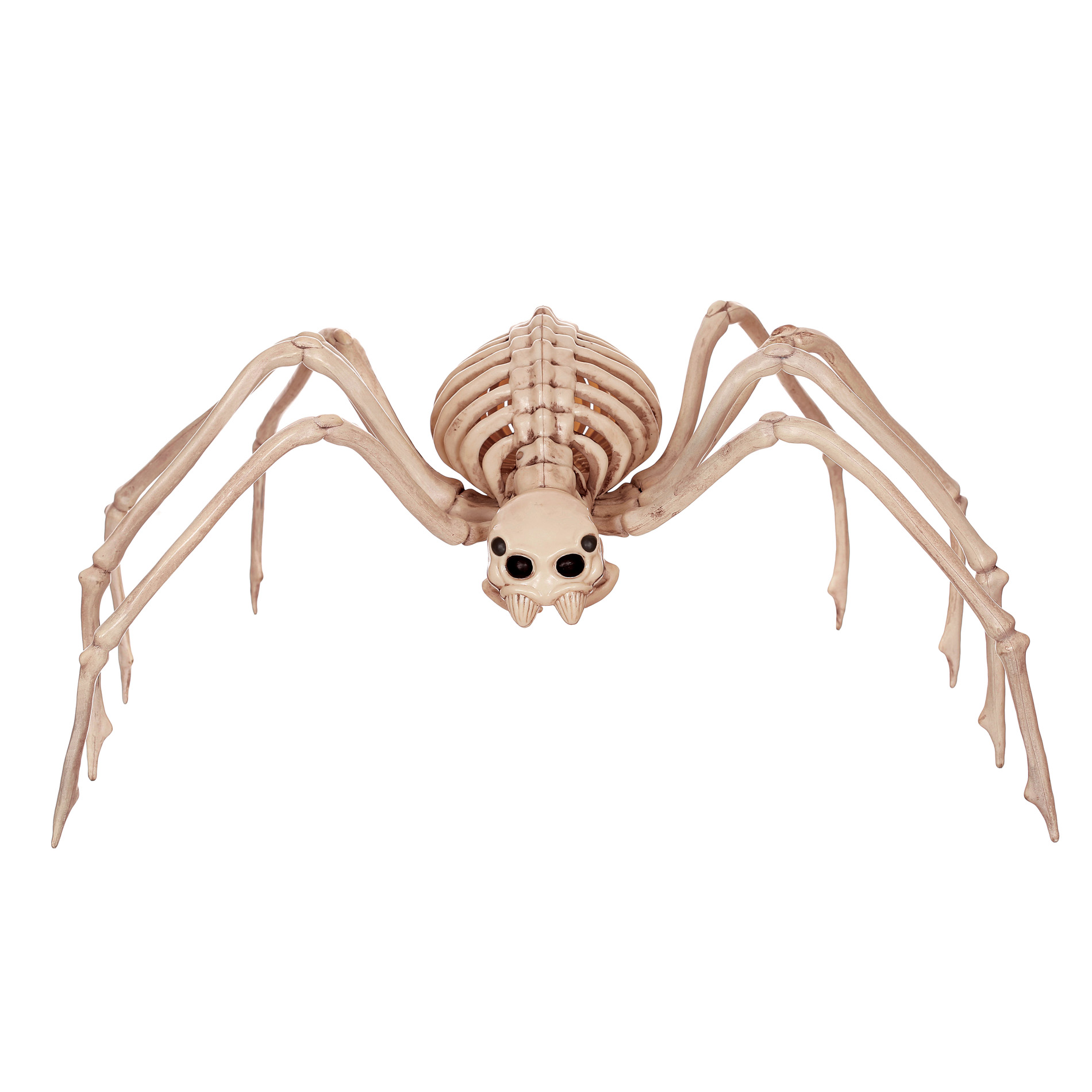 Crazy Bonez Halloween Skeleton Spider - Seasonal - Halloween ...