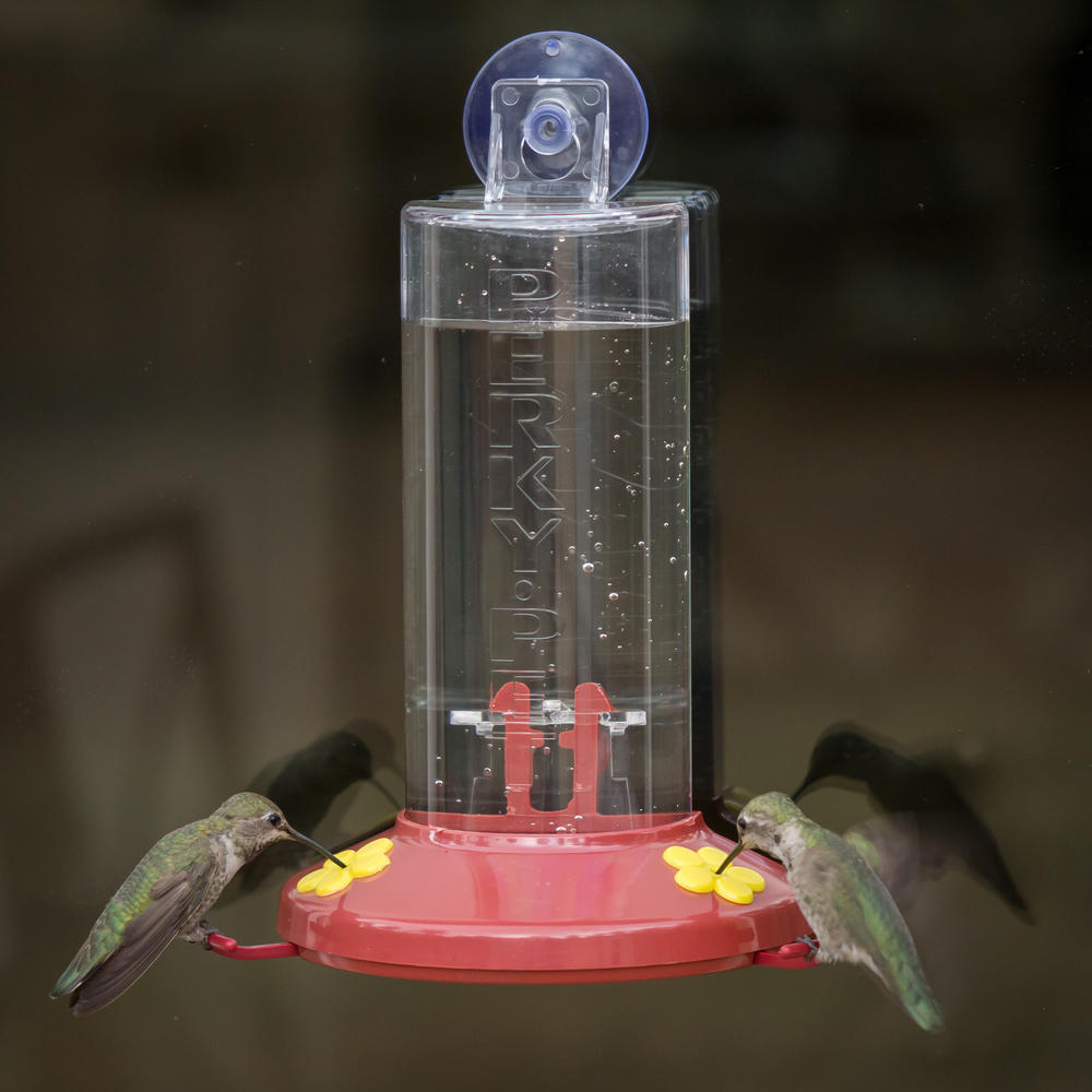 Perky-Pet Window Mount Hummingbird Feeder