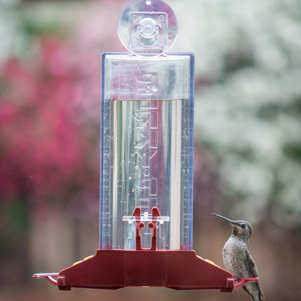 Perky-Pet Window Mount Hummingbird Feeder
