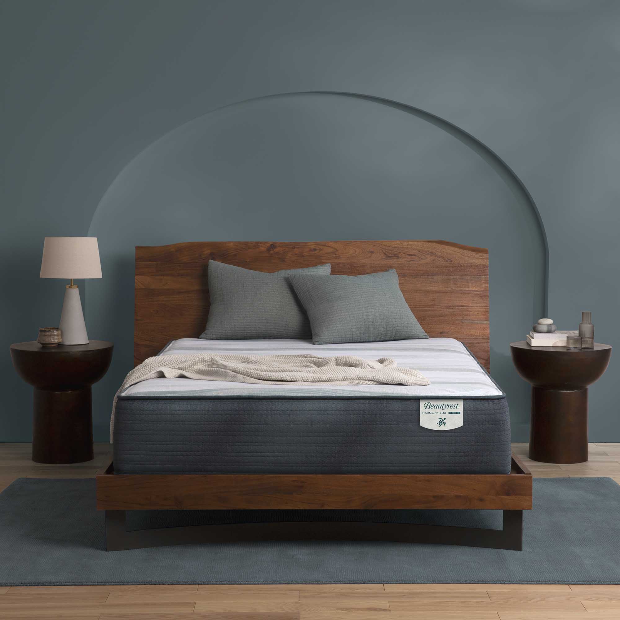 Sears beautyrest store