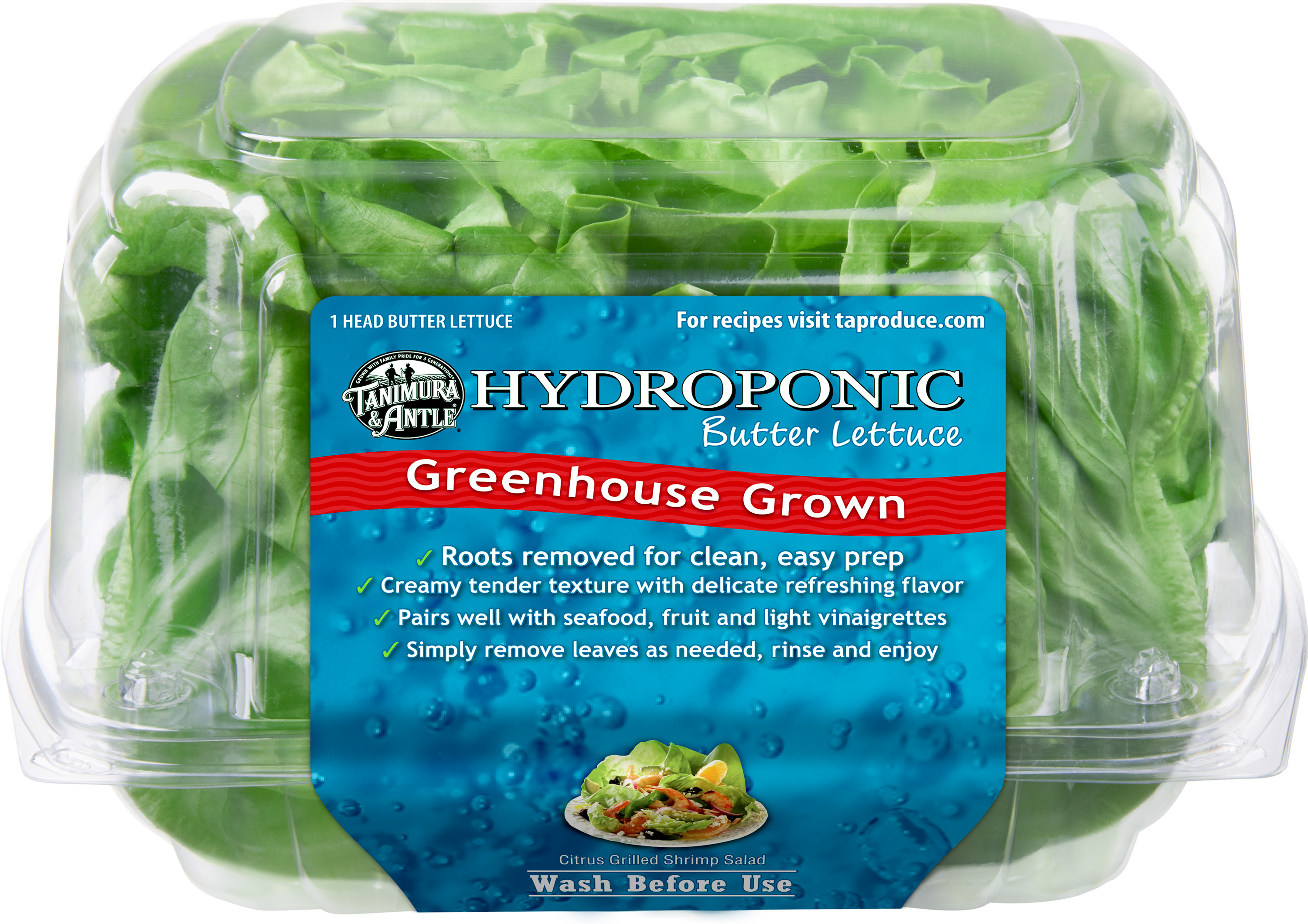 UPC 027918908235 - Fieldpack Unbranded Butter Lettuce | upcitemdb.com