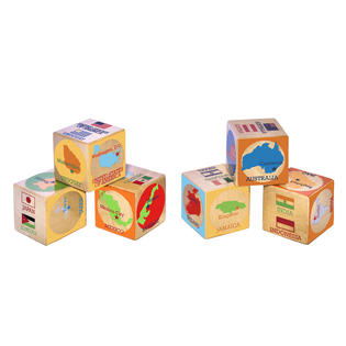 TS Shure Countries of the World Wooden Learning Blocks