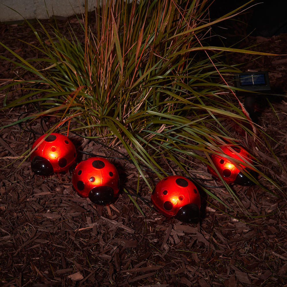 Smart Solar Ladybugs 4 Piece Set