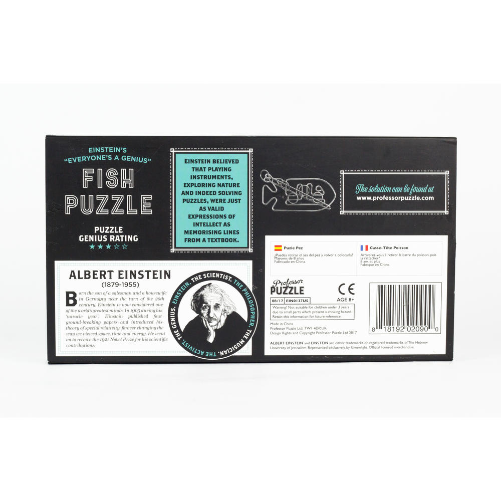 Einstein The Fish Puzzle