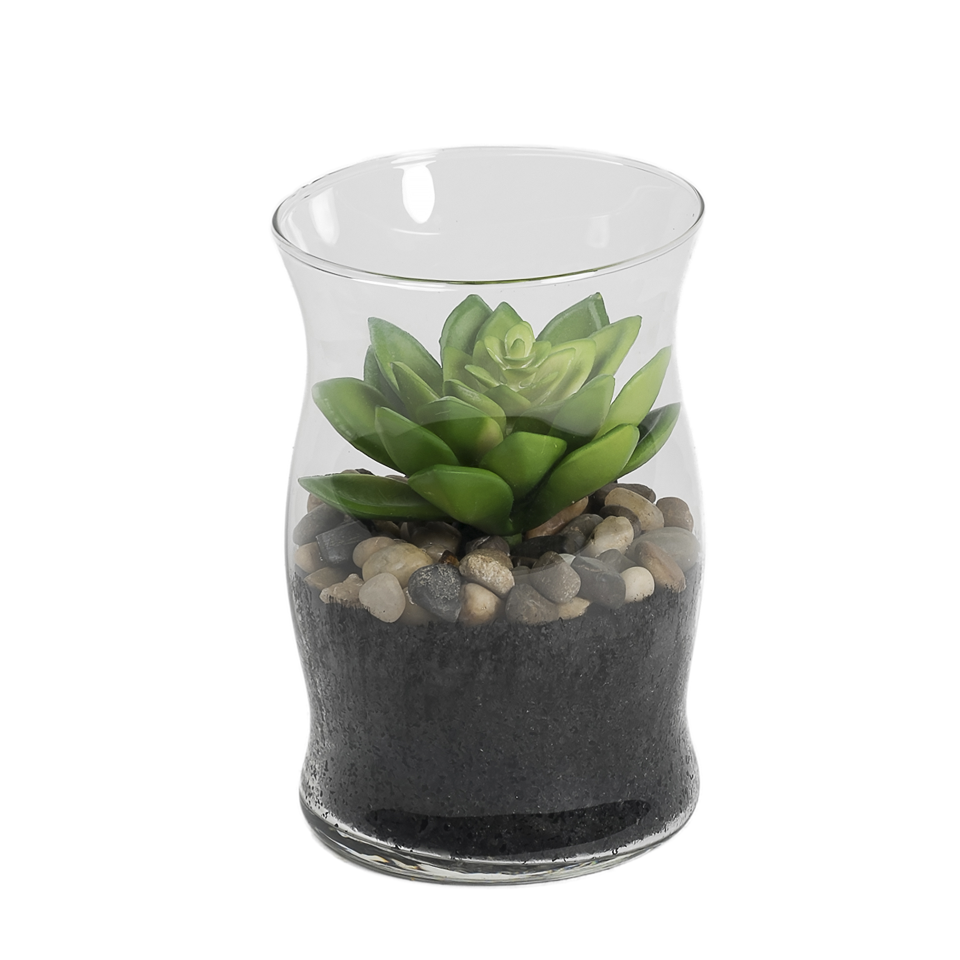 6 Succulent Plant In Glass Pot Shop Your Way Online Shopping And Earn Points On Tools