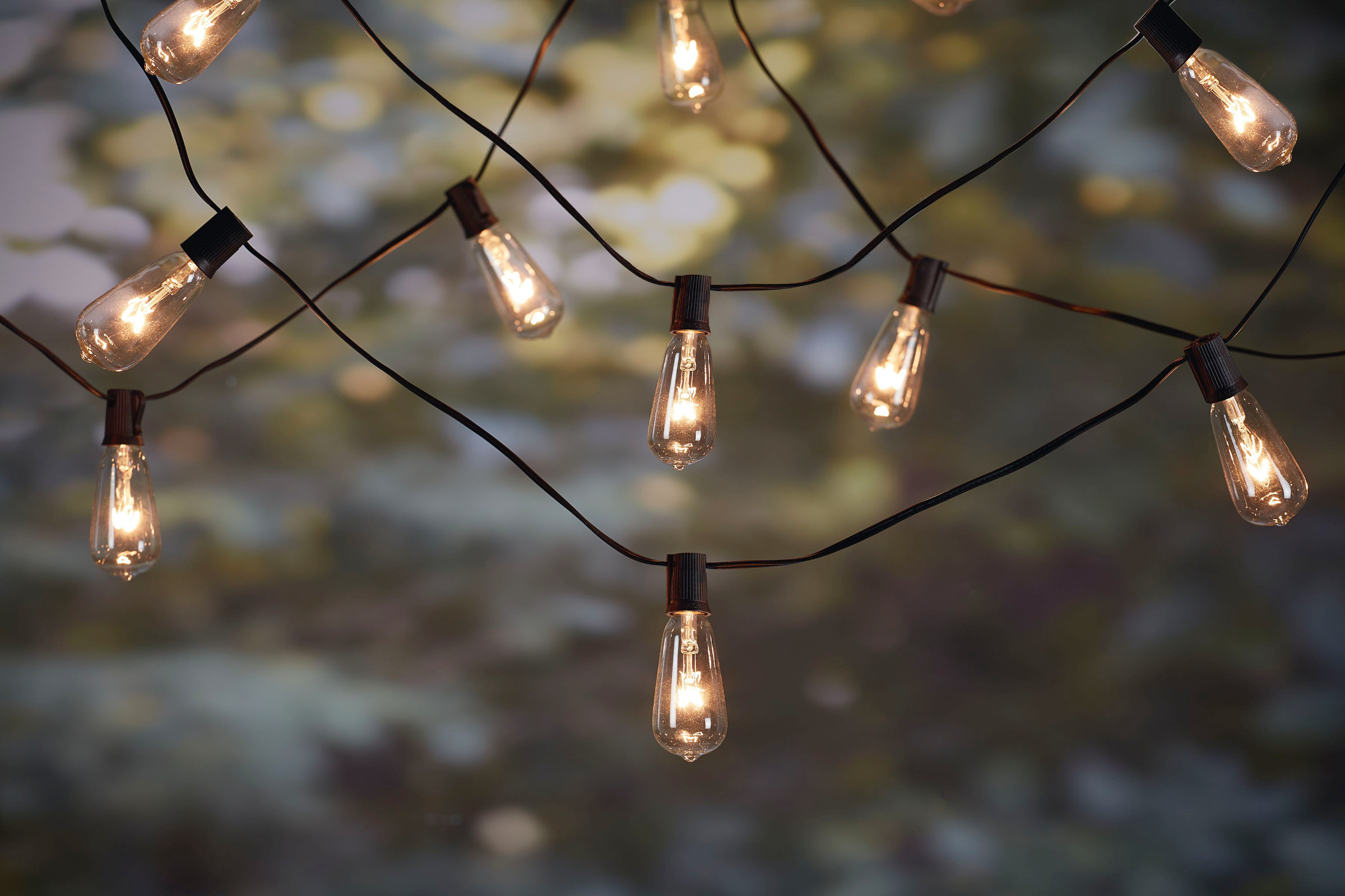 Essential Garden 10 Ct Edison Bulb String Light