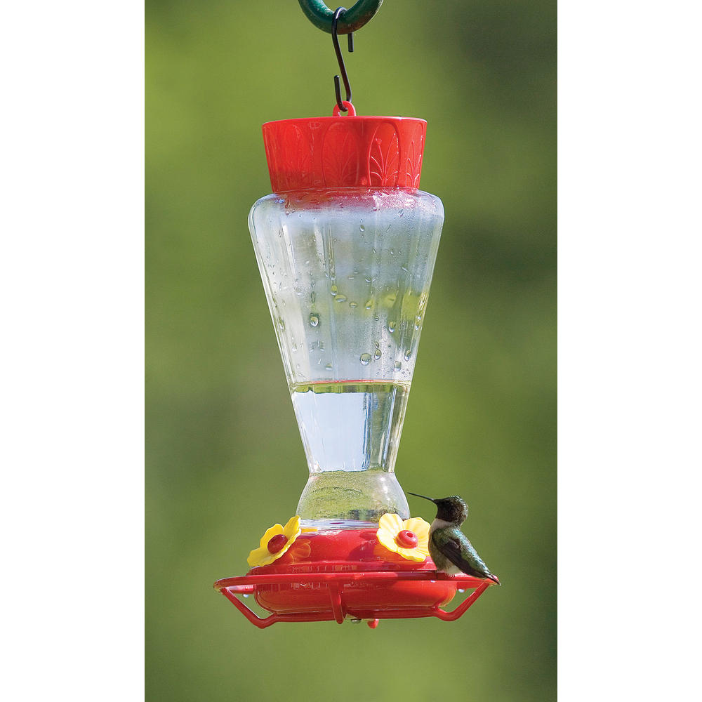 Stokes Select Royal Hummingbird Feeder