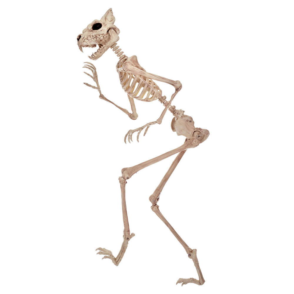 Totally Ghoul Halloween 64" Werewolf Skeleton