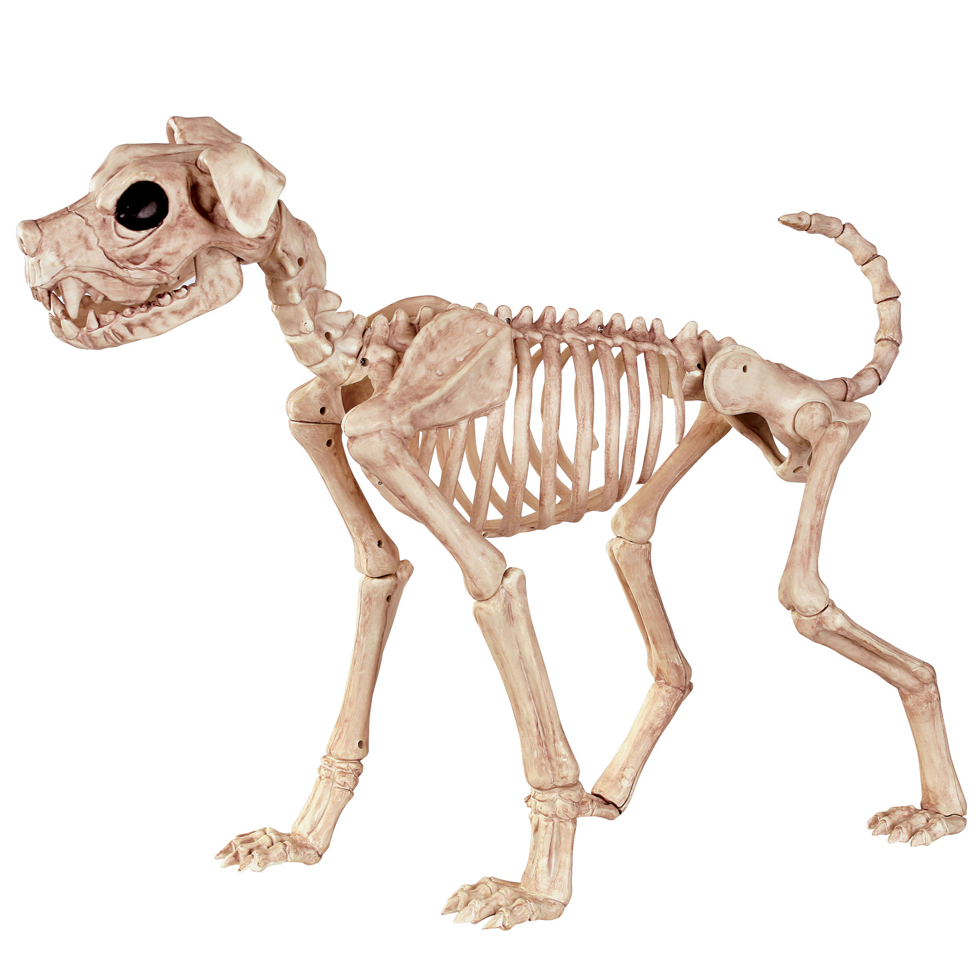 Crazy Bonez Halloween Skeleton Buster Bonez 21"