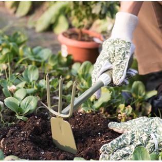 Worth Garden 2011 Carbon Steel Hand Digger and Hoe Combo