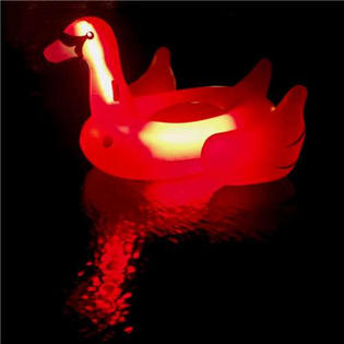 led swan