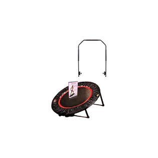 Urban Rebounder Mini Trampoline with Stabilizing Bar-Sears Marketplace