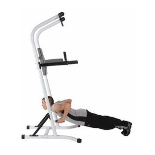 Bodymax MultiFunction Home Gym Power Tower - Sears Marketplace