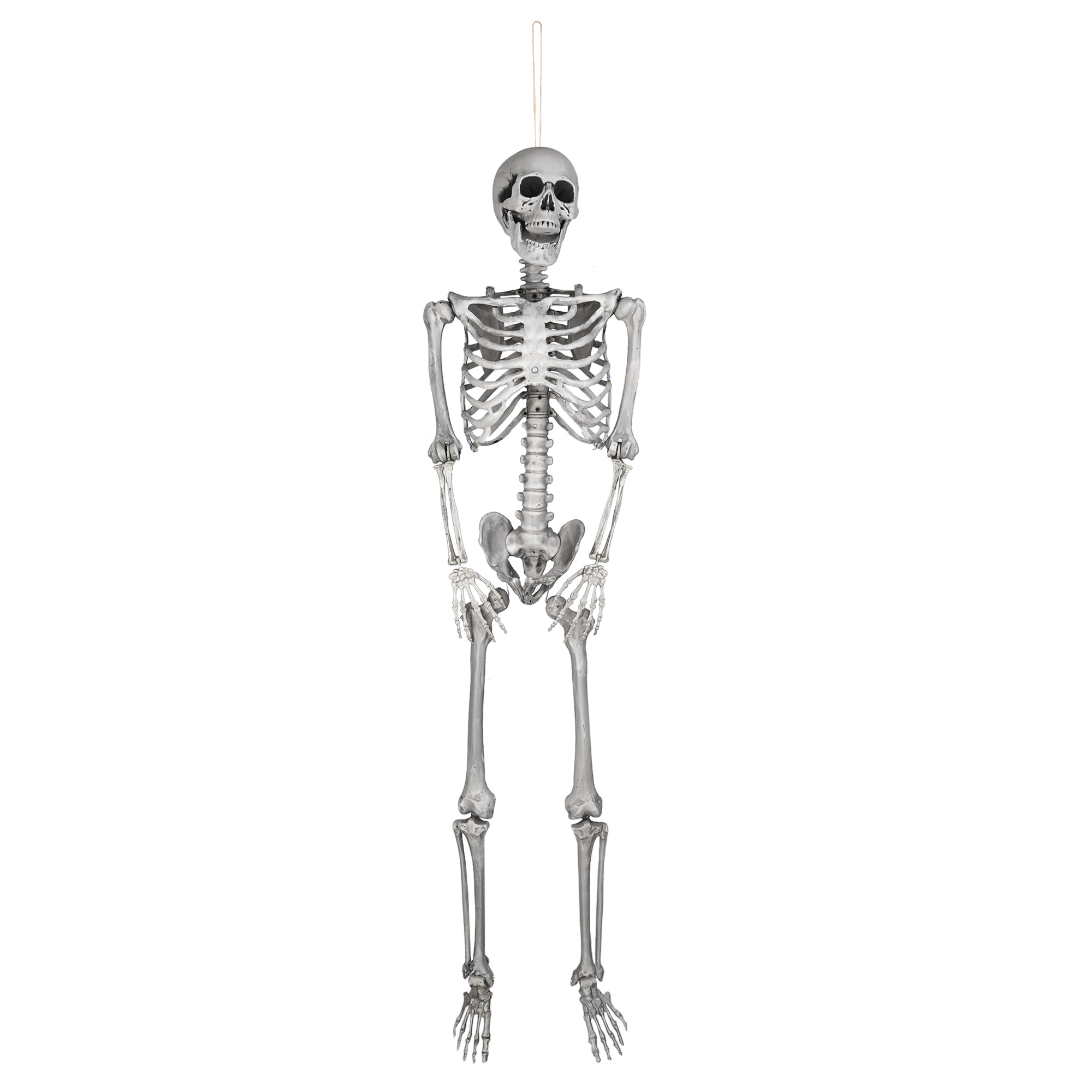 AplusBuy 5' Full Body Skeleton Halloween Props with Movable Joints