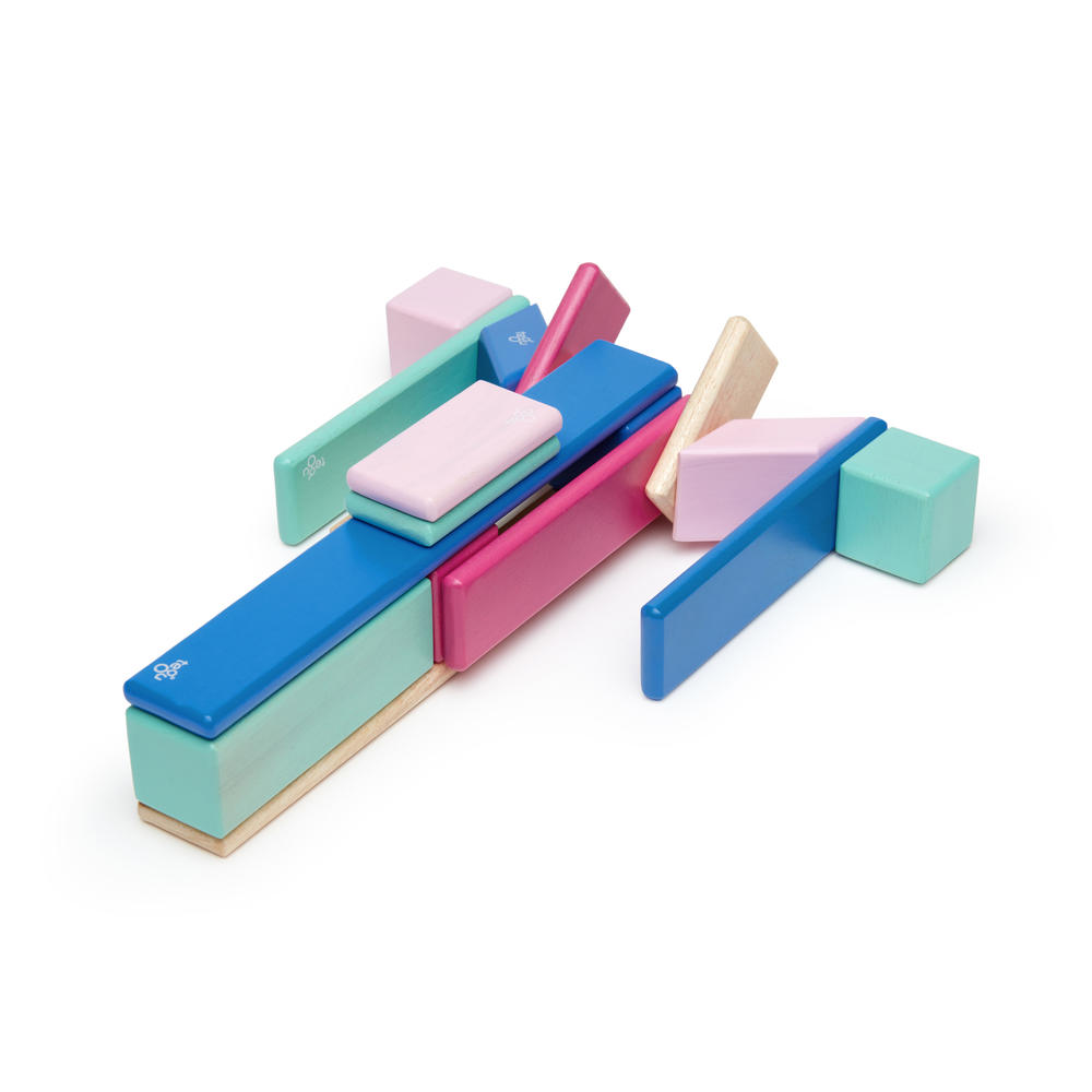 Tegu magnetic blocks - 24 piece blossom set