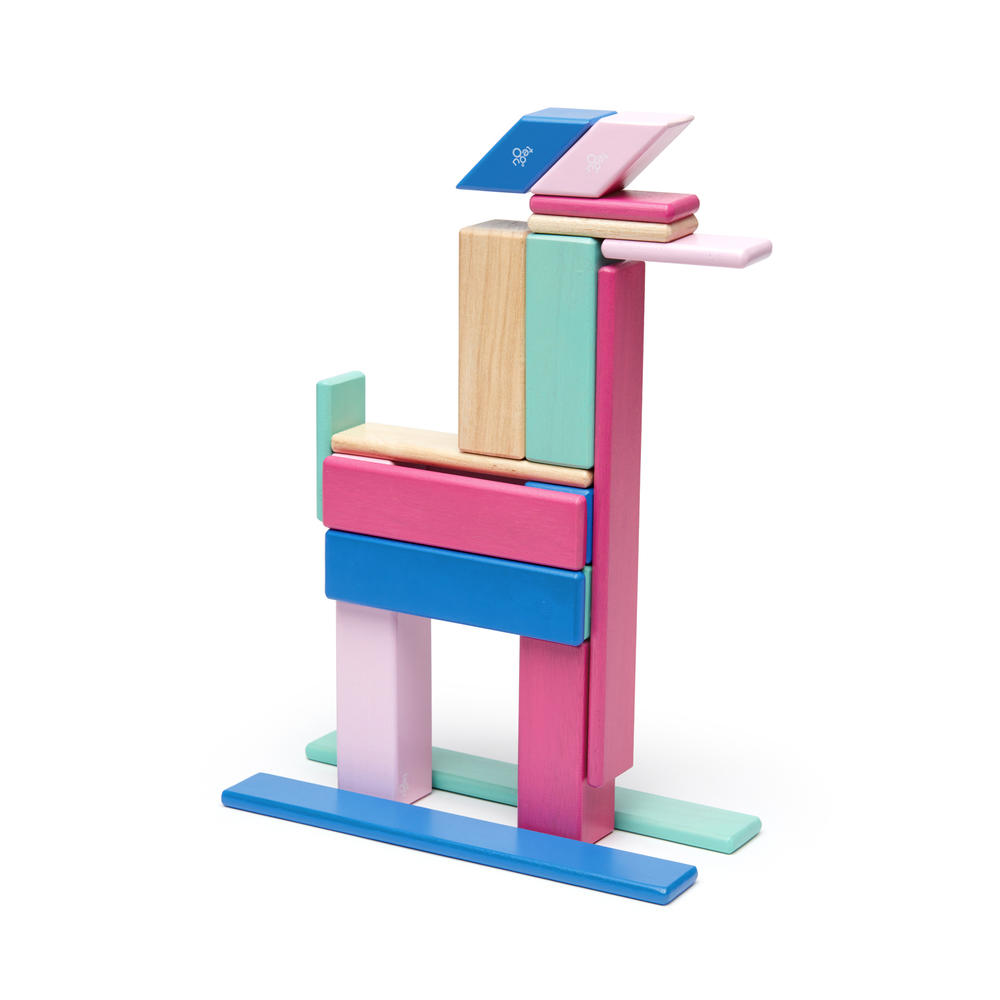 Tegu magnetic blocks - 24 piece blossom set