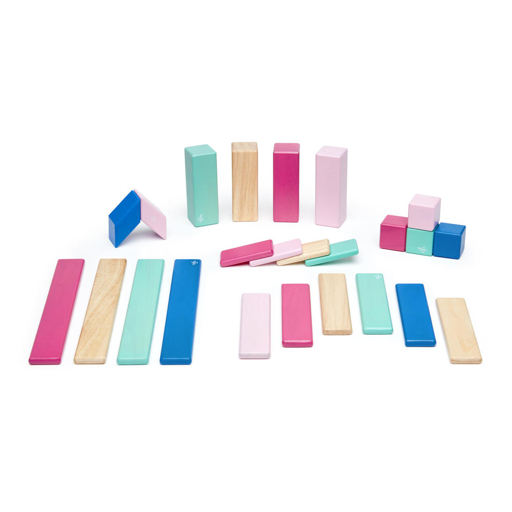 Tegu magnetic blocks - 24 piece blossom set