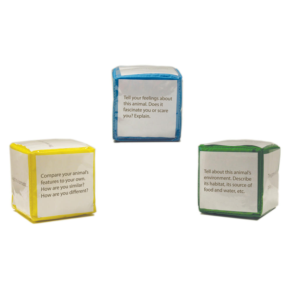 Carson-Dellosa Pub Group Differentiated Instruction Cubes Manipulative