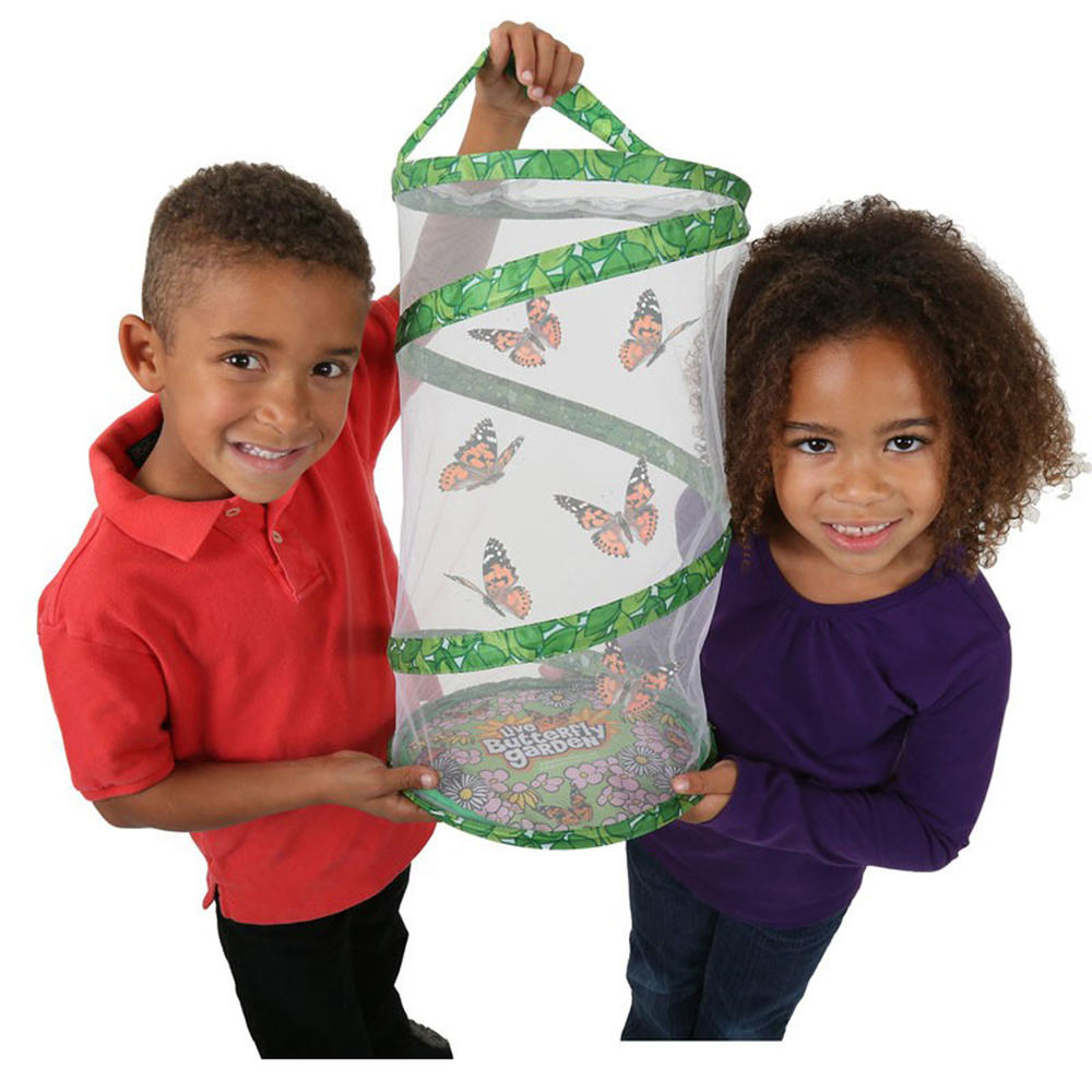 Insect Lore Giant Butterfly Garden