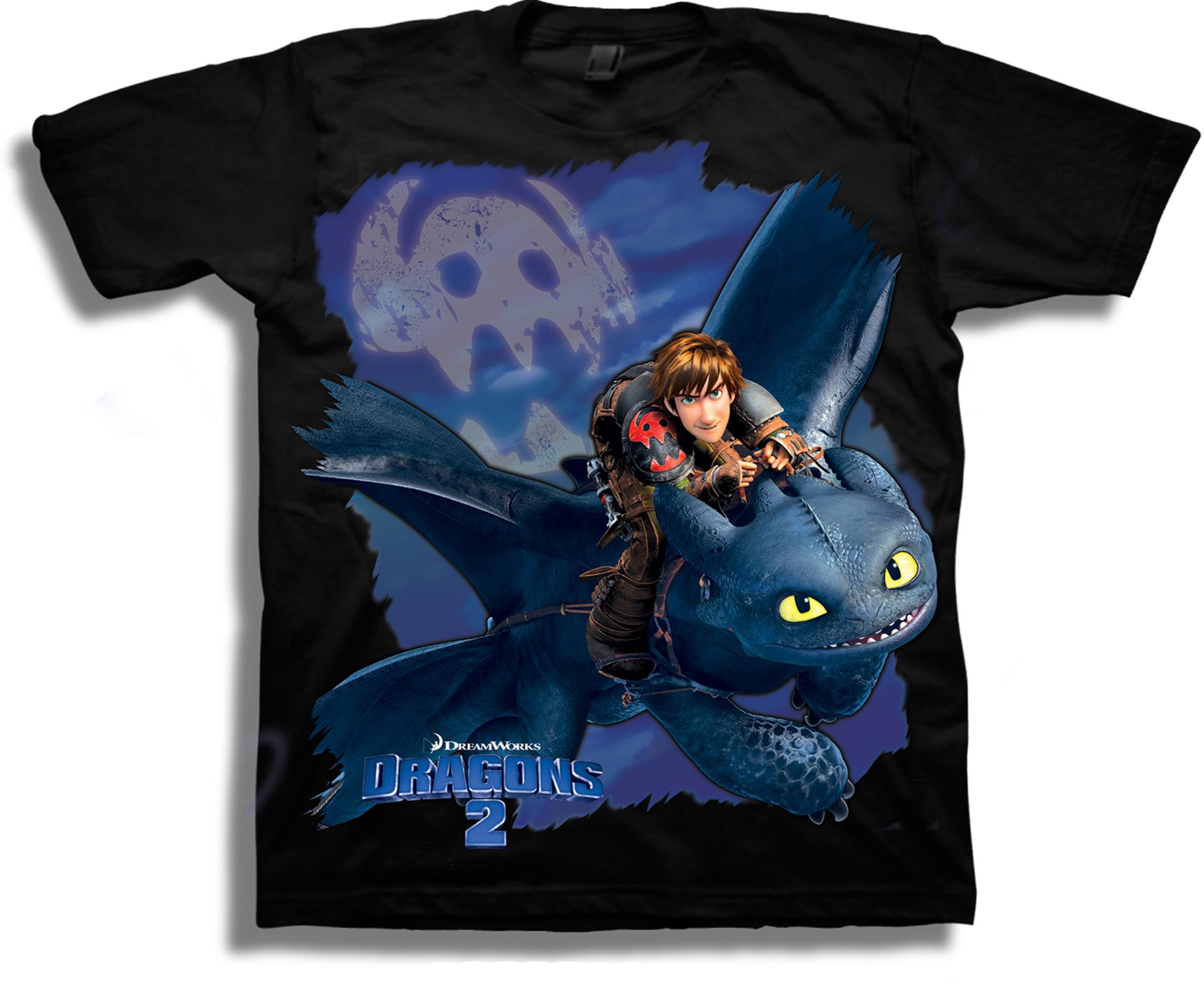Dreamworks How to Train Your Dragon 2 Boy's Graphic T-Shirt