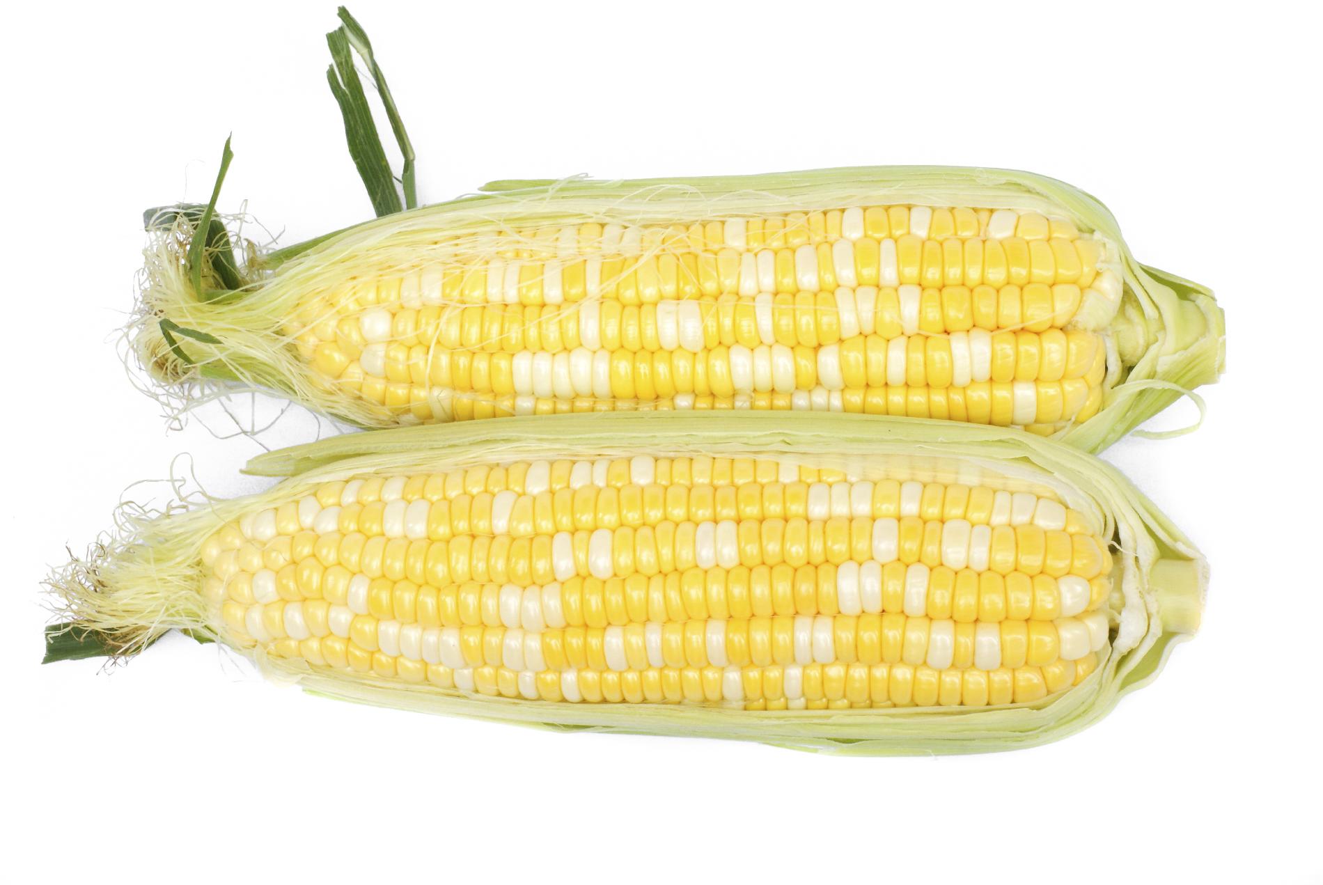 UPC 033383701219 - Tray Pack Corn, 4 ct | upcitemdb.com